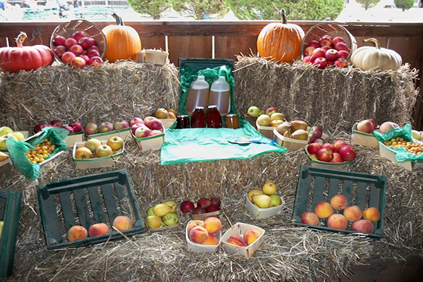Long Island Restaurant News | The Long Island Fair at Old Bethpage is ...